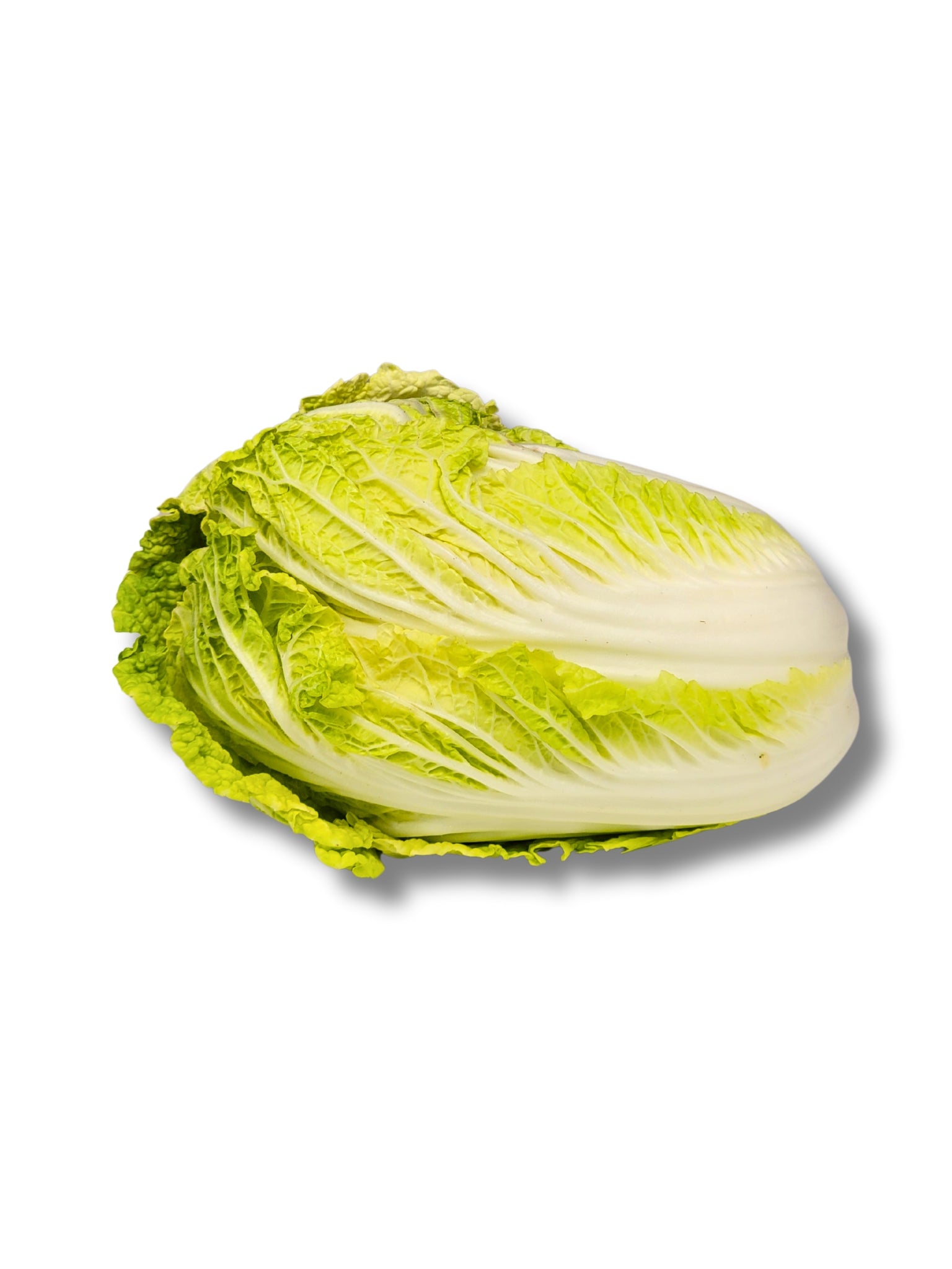 Chinese Leaf – Sun Harvest LTD