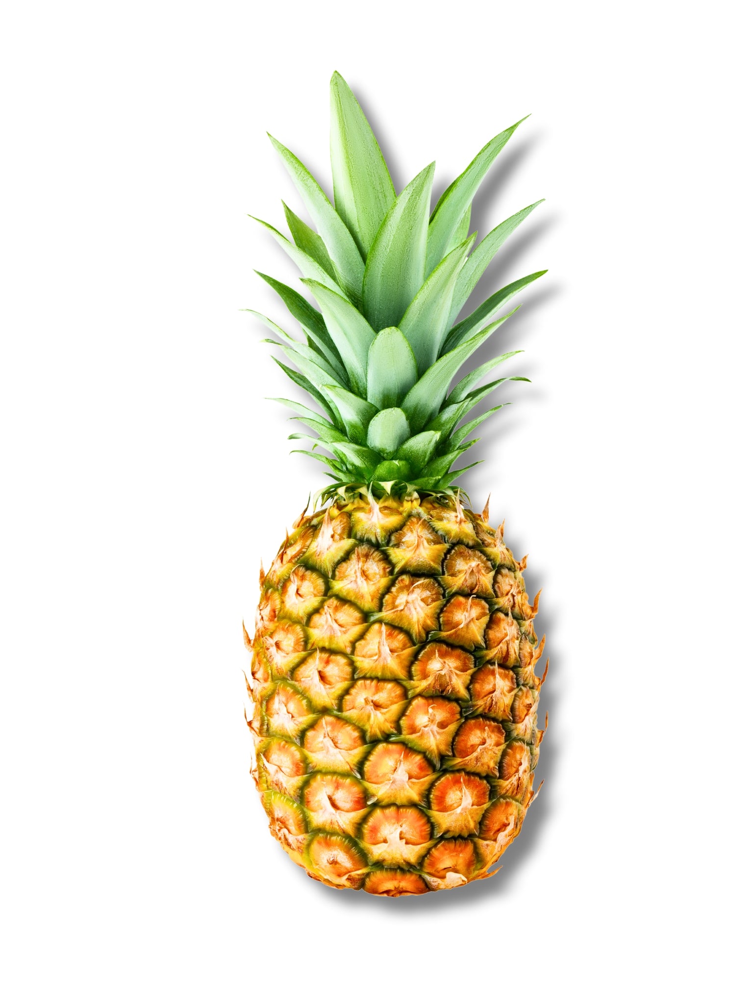 Pineapple – Sun Harvest LTD