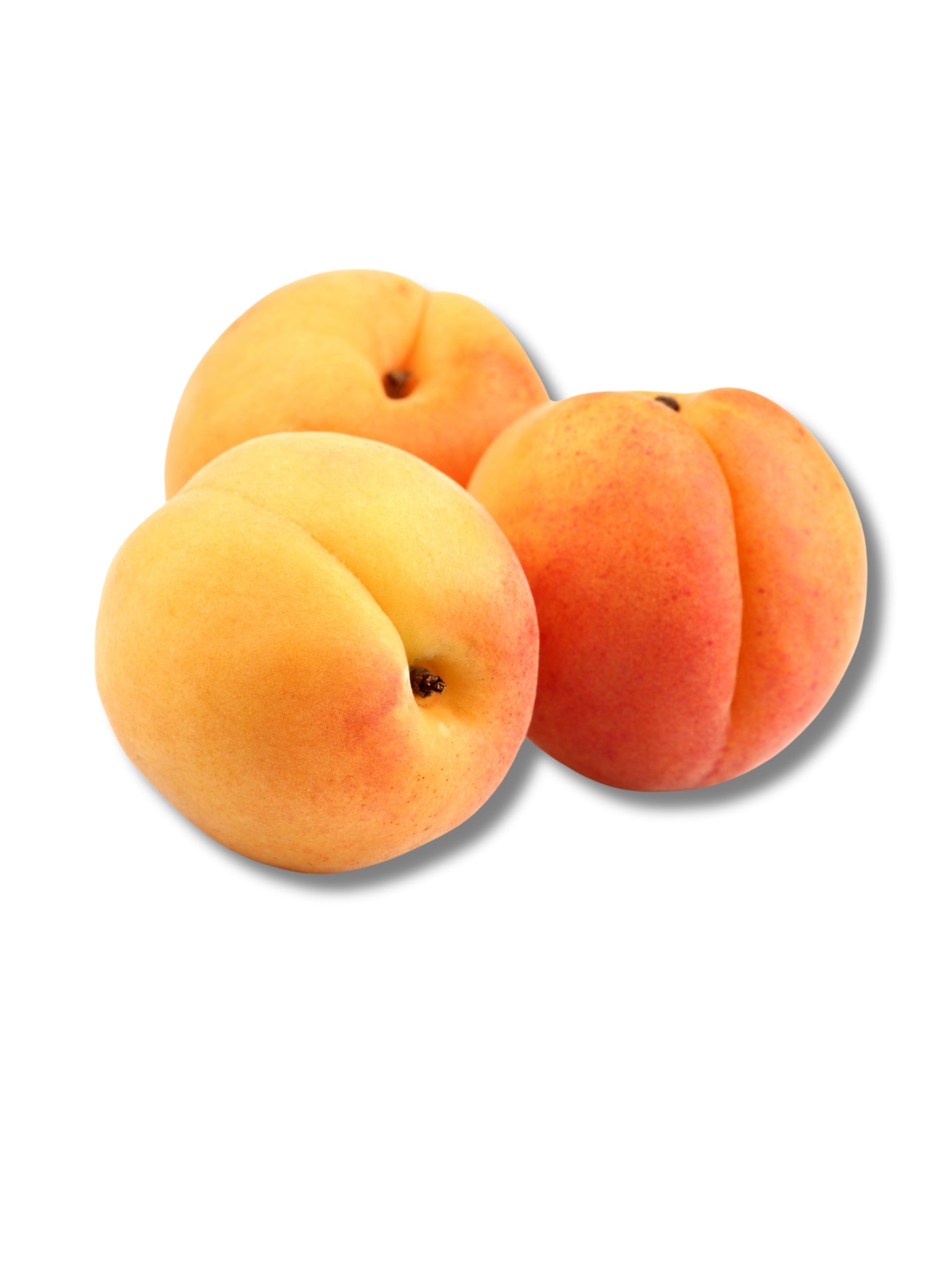 Apricot – Sun Harvest LTD