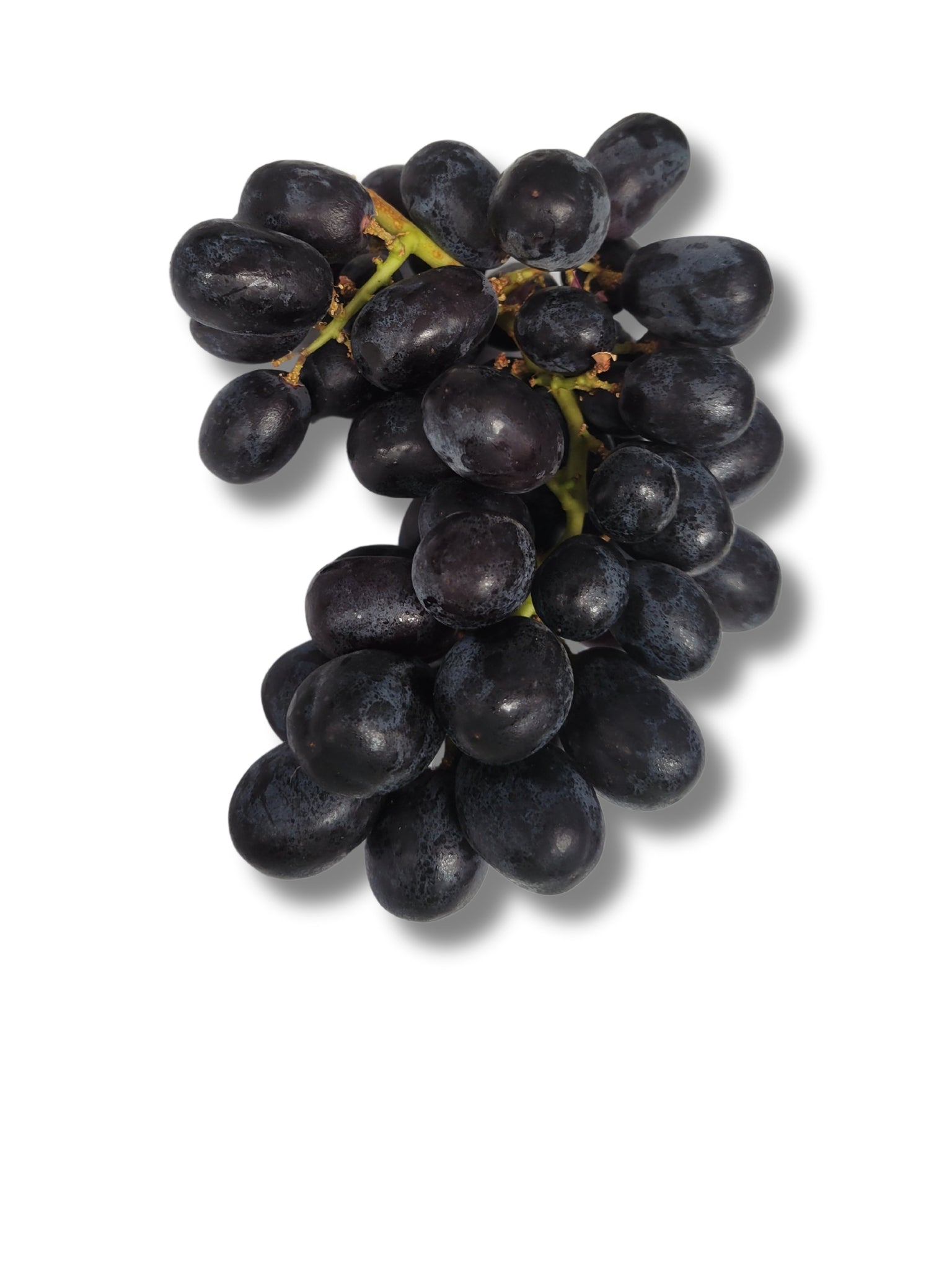 Red Seedless Grapes – Sun Harvest LTD